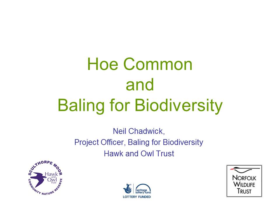 Hoe Common Slide Show | Hoe and Worthing Villages: Norfolk