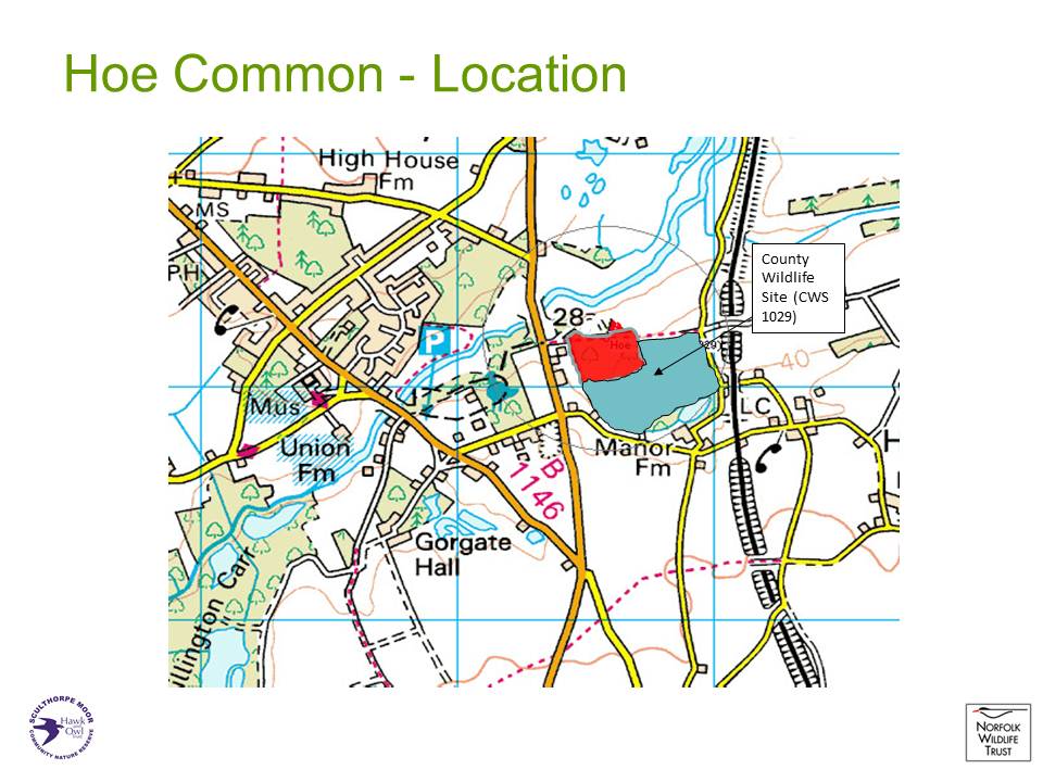 Hoe Common Slide Show | Hoe and Worthing Villages: Norfolk