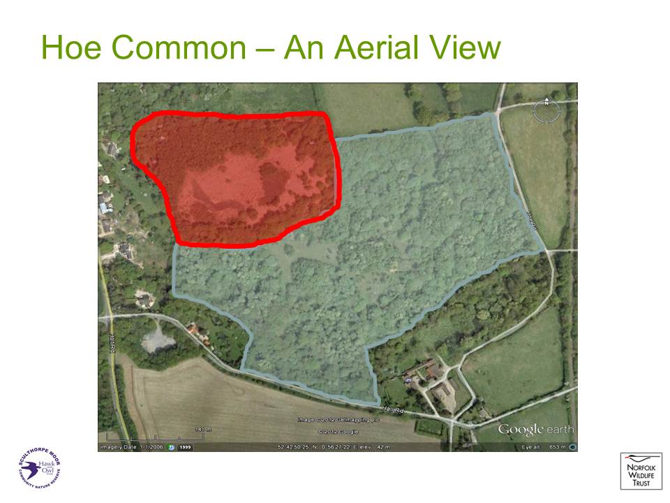 Hoe Common Slide Show | Hoe and Worthing Villages: Norfolk